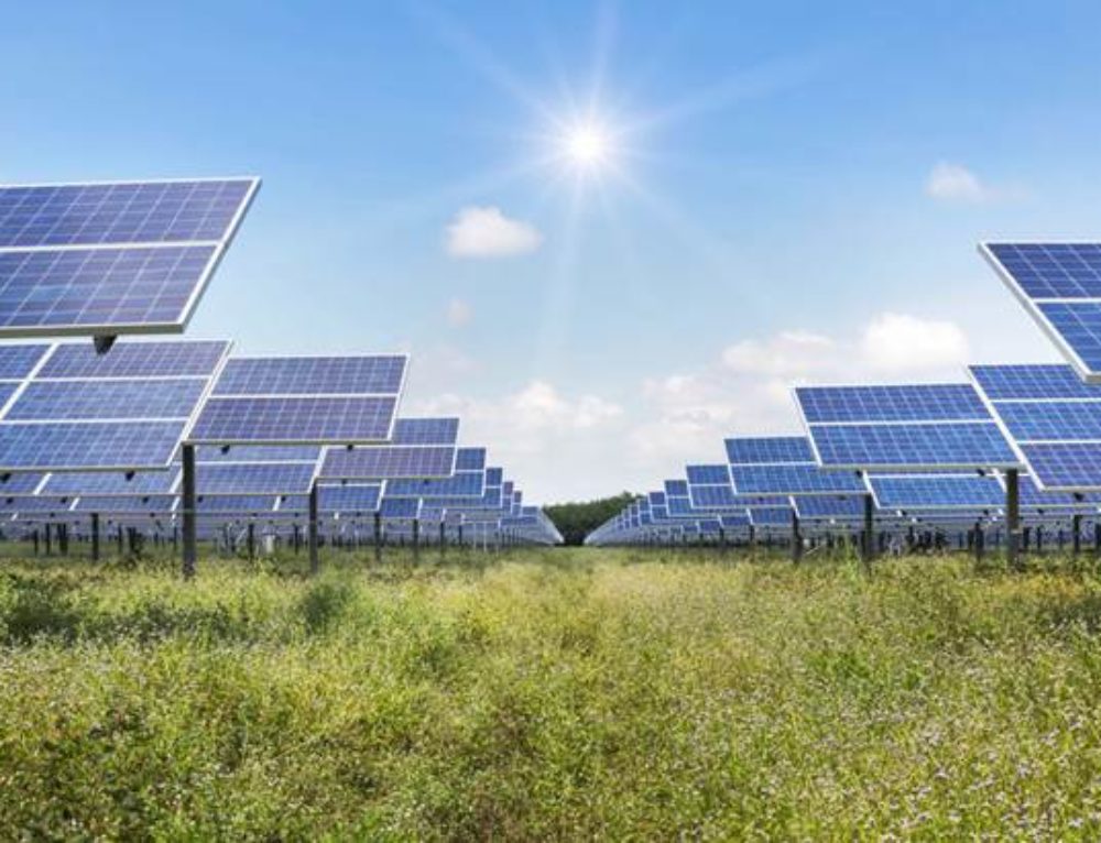 Free Ground Shipping